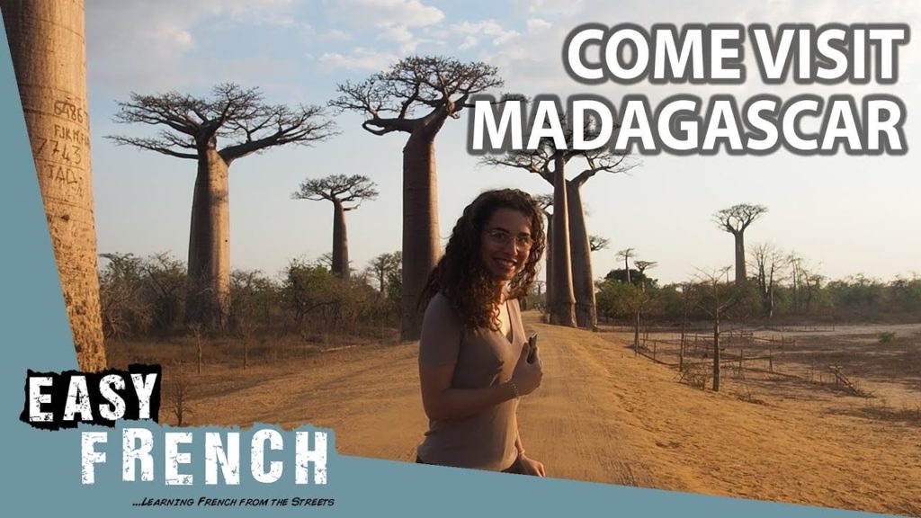 VIDEO. Les raisons pour lesquelles vous devriez visiter Madagascar ...