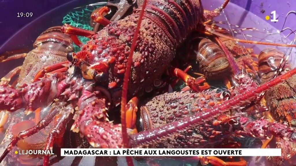 VIDEO. Voici la recette du “Mokary au coco”, le célèbre beignet ...